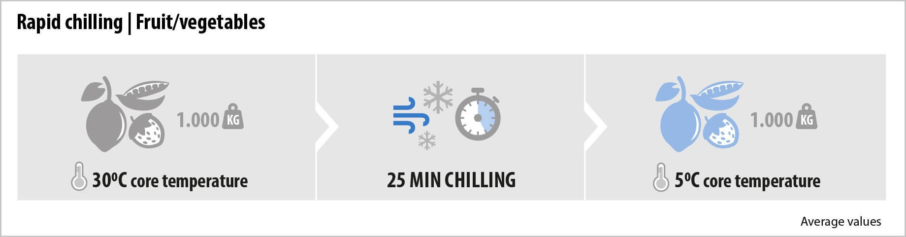 Rapid chilling blast freezing portable freezer fish meat pharma